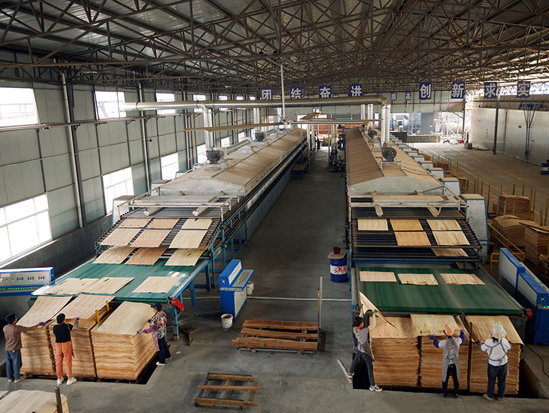 What is the purpose of drying wood in veneer dryer?-Shine Machinery