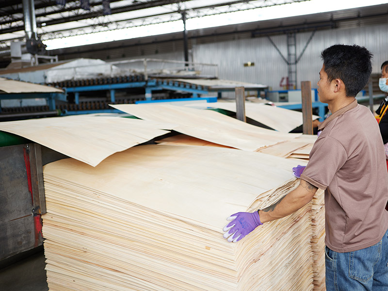Technology veneer production process-Shine Machinery